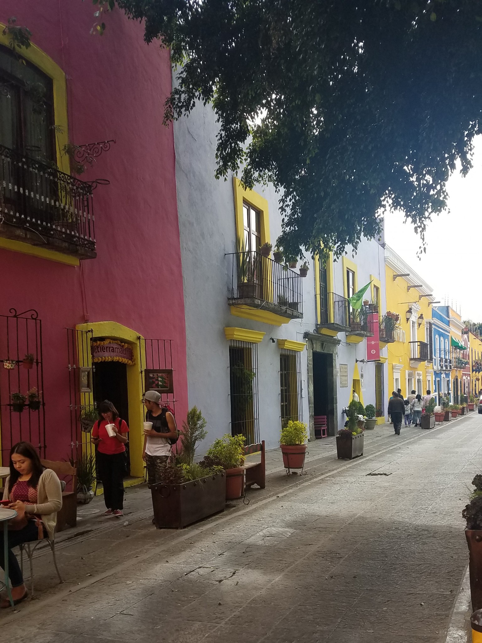 Mexico Fair - IENA - International Exchange of North America