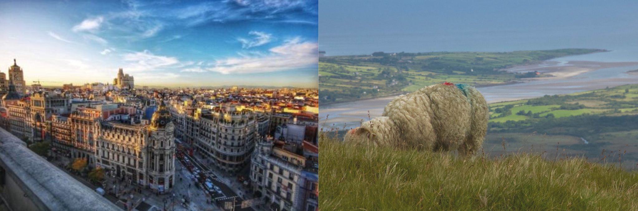 Ireland:Spain - IENA - International Exchange of North America